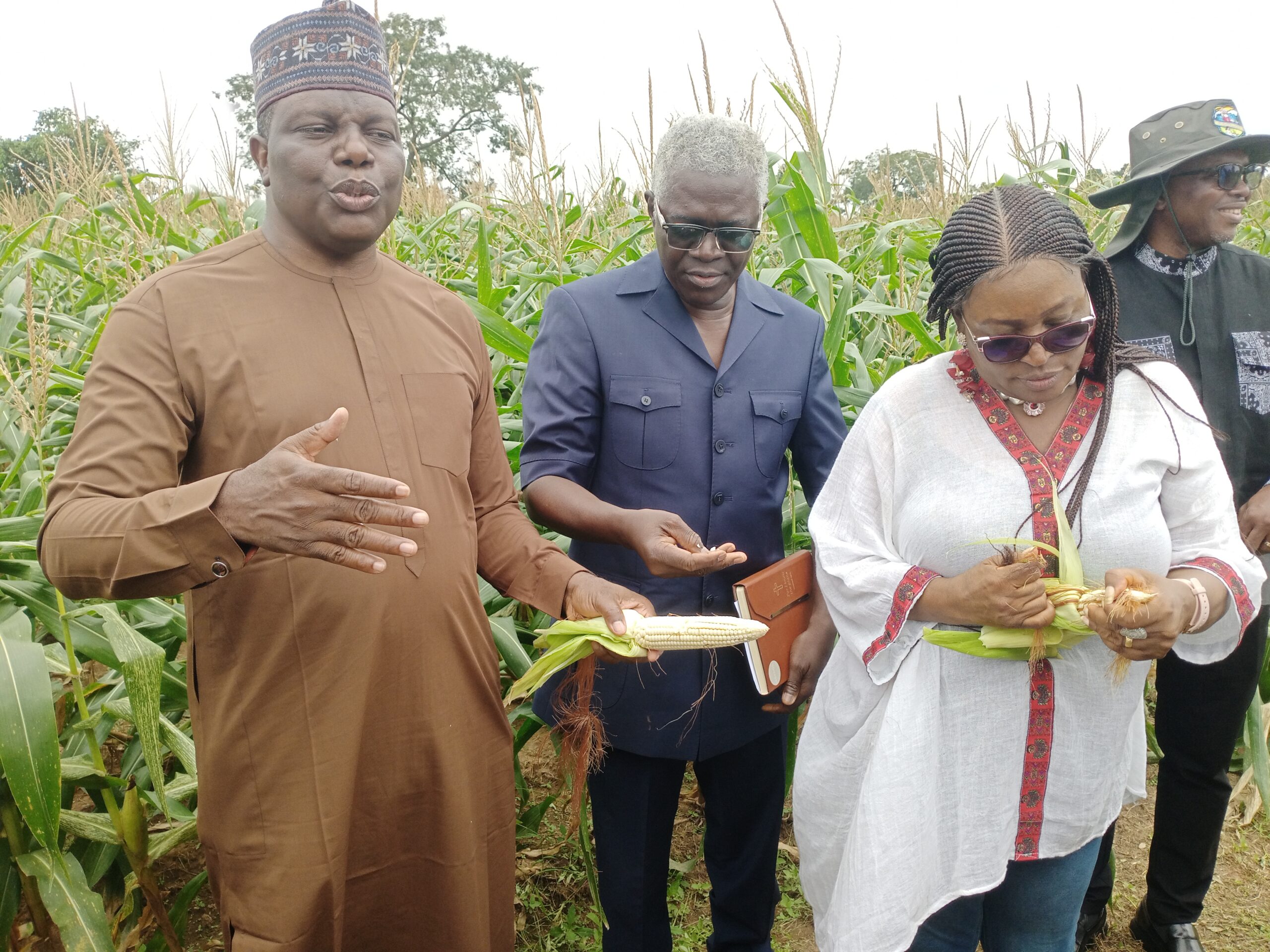 ‘Nigeria Inspiring Genetic Modification Breakthroughs In Africa ...